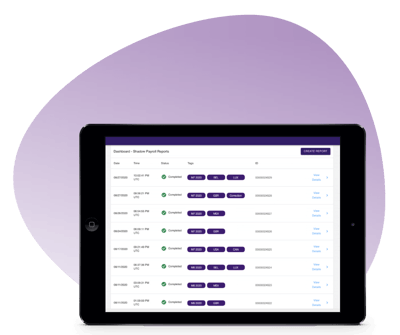 Shadow payroll case study | Certino